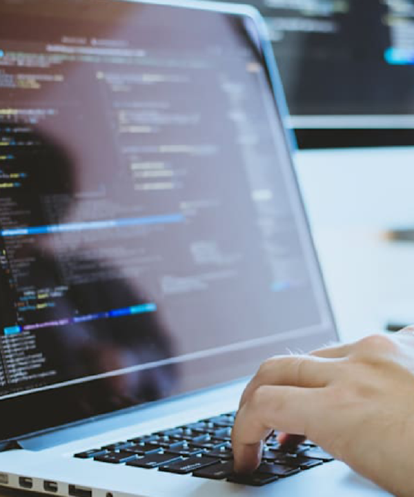 Web Development Services | Daily Bread Consultancy